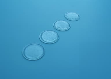 12.7mm x 1.5mm Cylindrical Clear Rubber Desk Bumpers